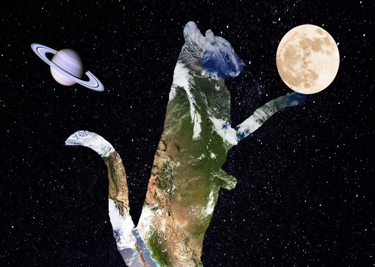 'Earth Cat Plays with Moon' Poster by MONLart | Displate