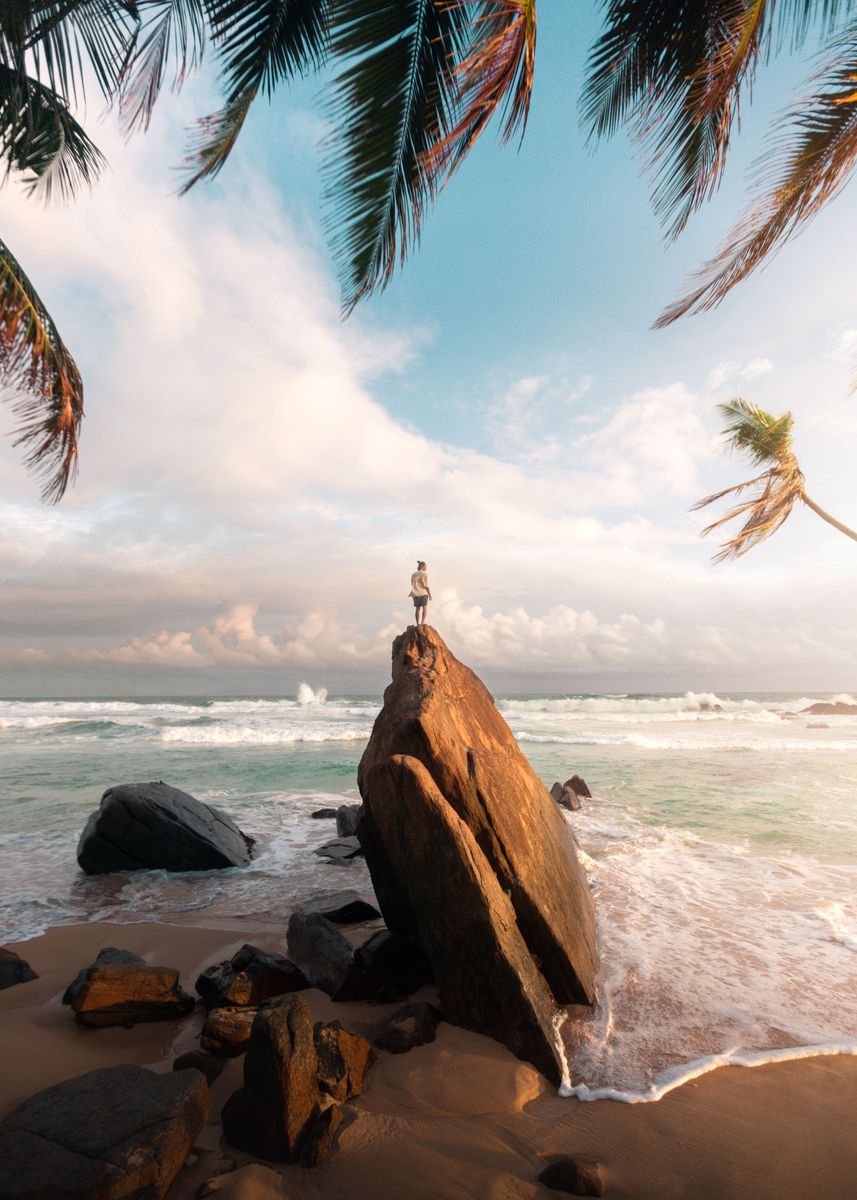 'Pride Rock Delawella' Poster, picture, metal print, paint by Tim ...