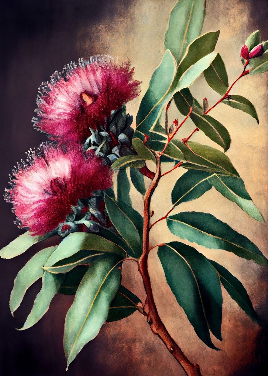 'Australian Floral Wonder' Poster, picture, metal print, paint by Steel ...
