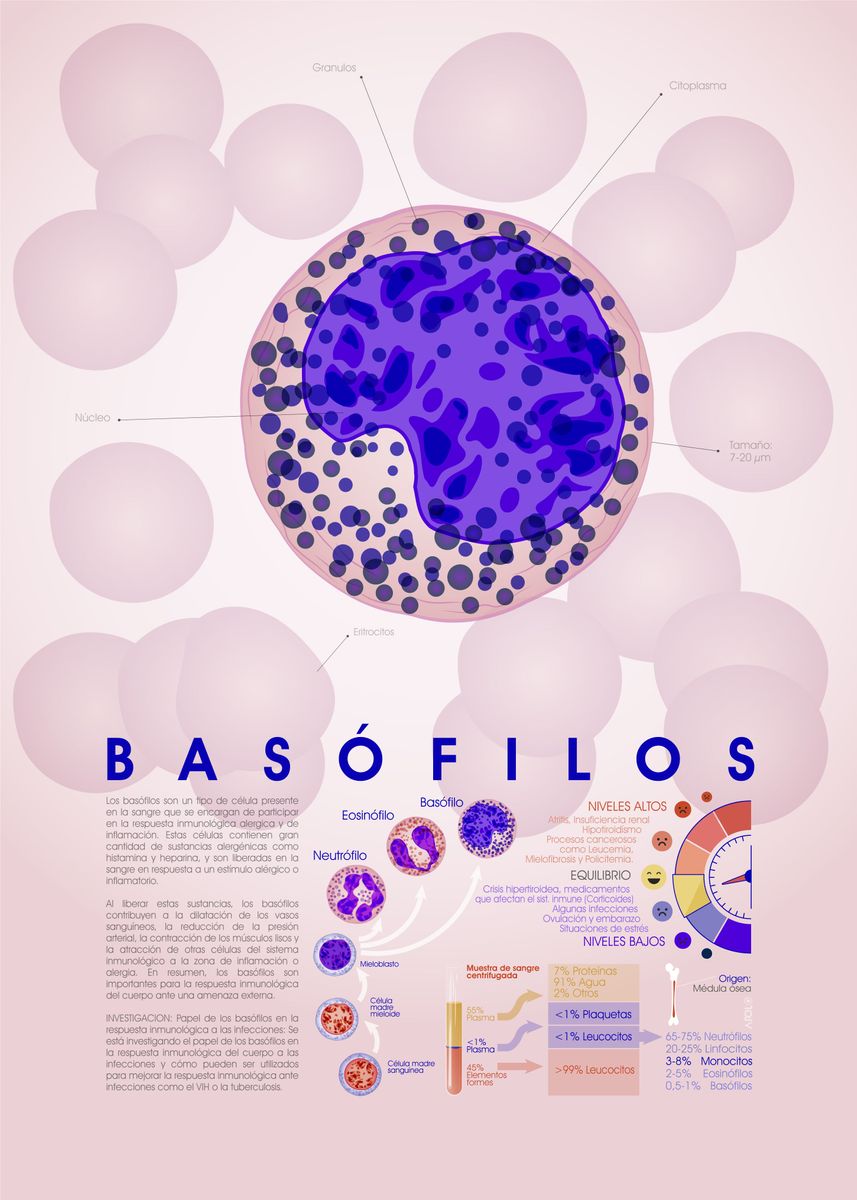 'Basofilo' Poster, picture, metal print, paint by Mitchel Franco Tellez ...