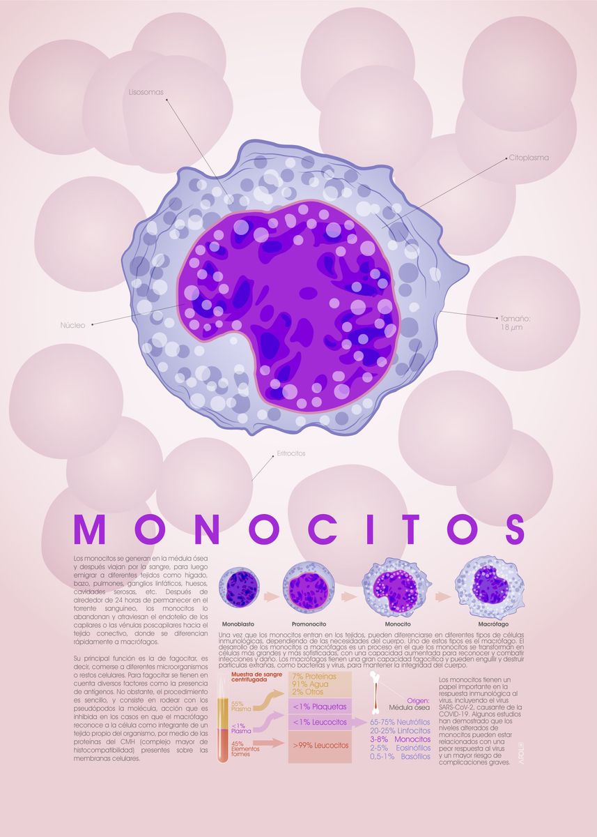 'Monocito' Poster, picture, metal print, paint by Mitchel Franco | Displate