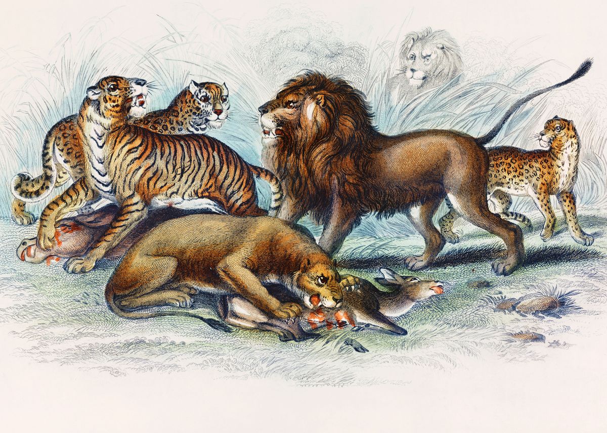 'Fauna' Poster by Mango Art | Displate