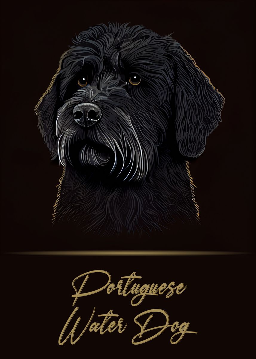 'Portuguese Water Dog' Poster, picture, metal print, paint by Artistic Paradigms | Displate