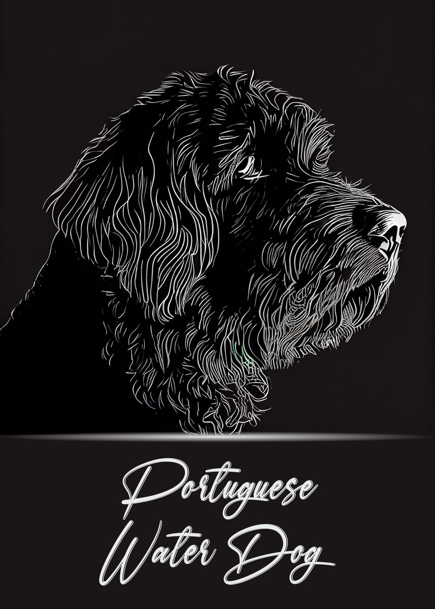 'Portuguese Water Dog' Poster, picture, metal print, paint by Artistic Paradigms | Displate
