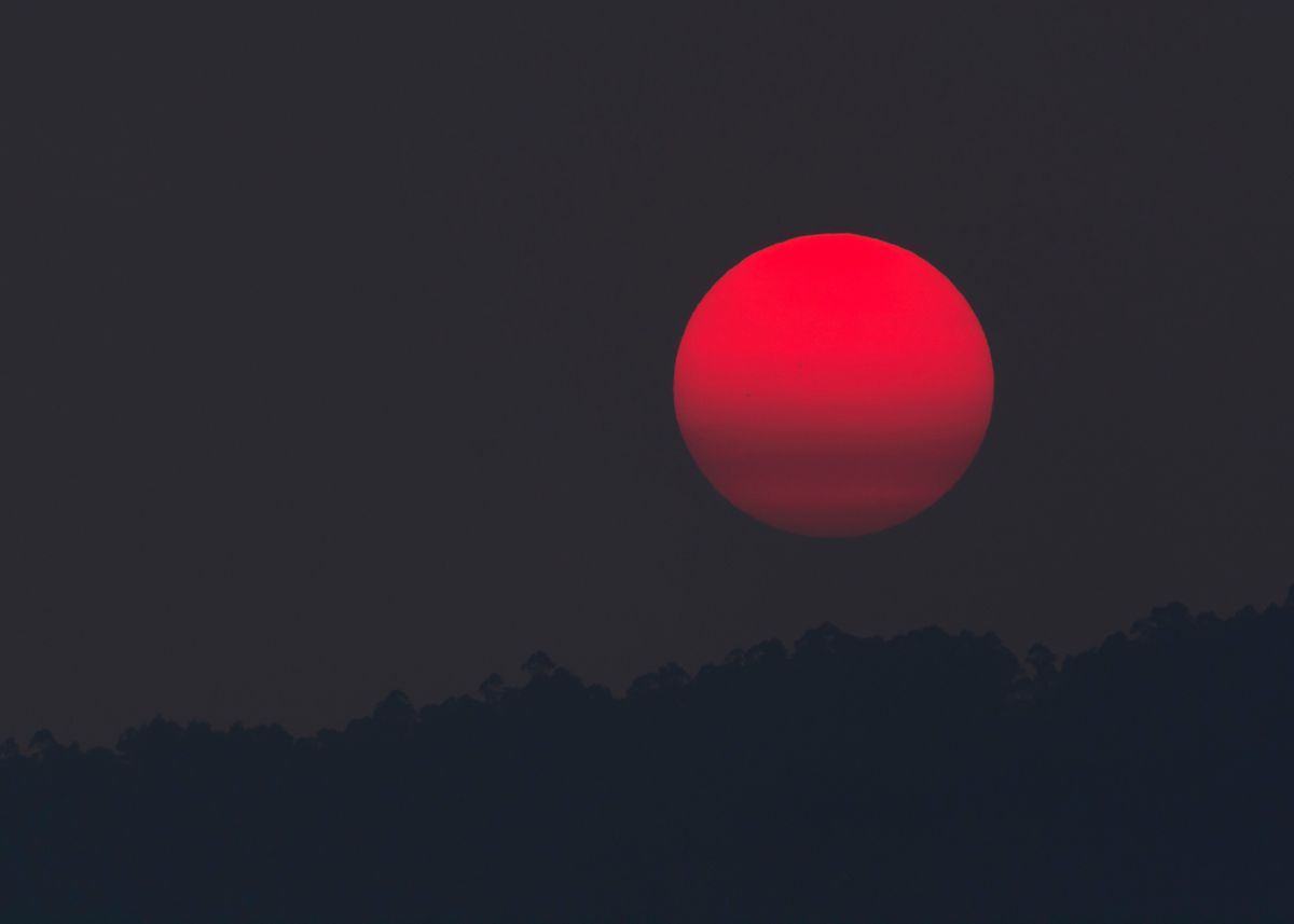 'Blood Moon' Poster by Stephen Bredenkamp | Displate