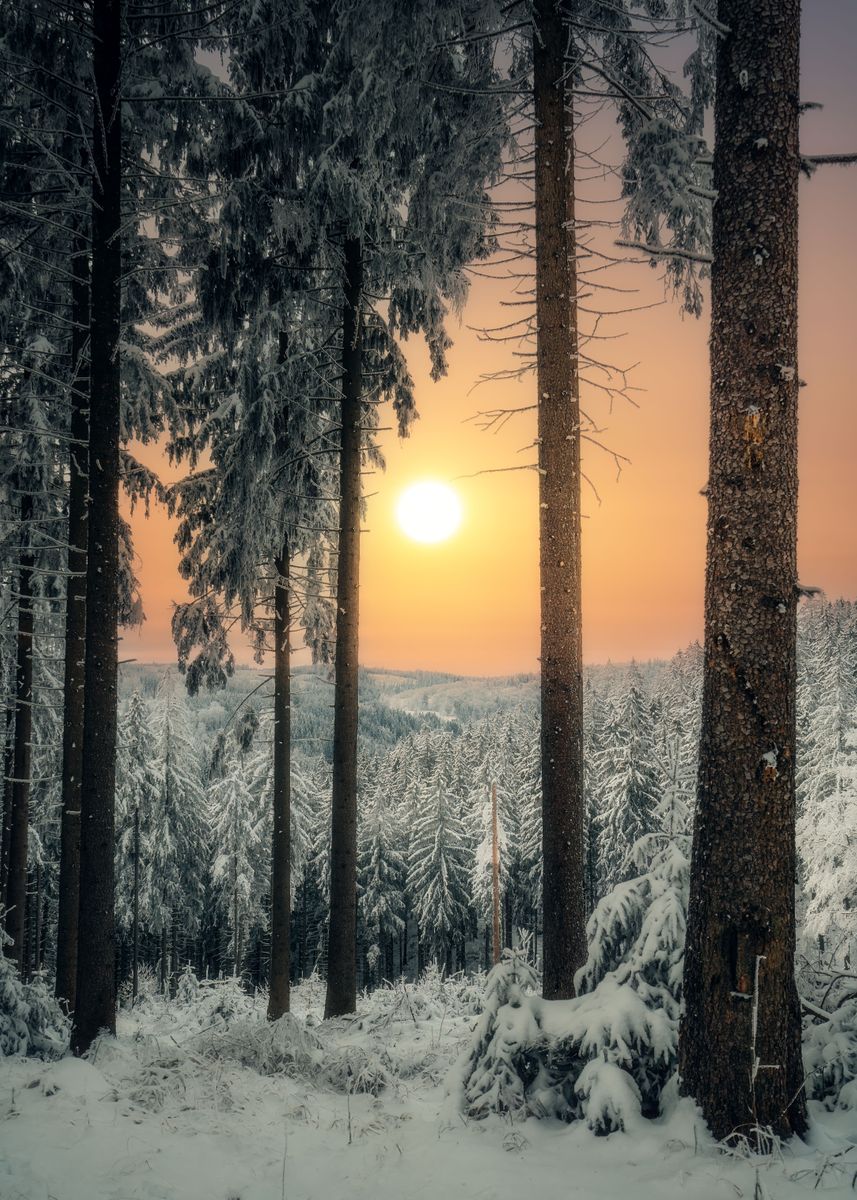 'Winter Sun' Poster, picture, metal print, paint by Stefan Becker ...