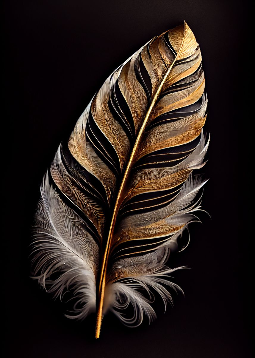 'black golden feather' Poster, picture, metal print, paint by ...
