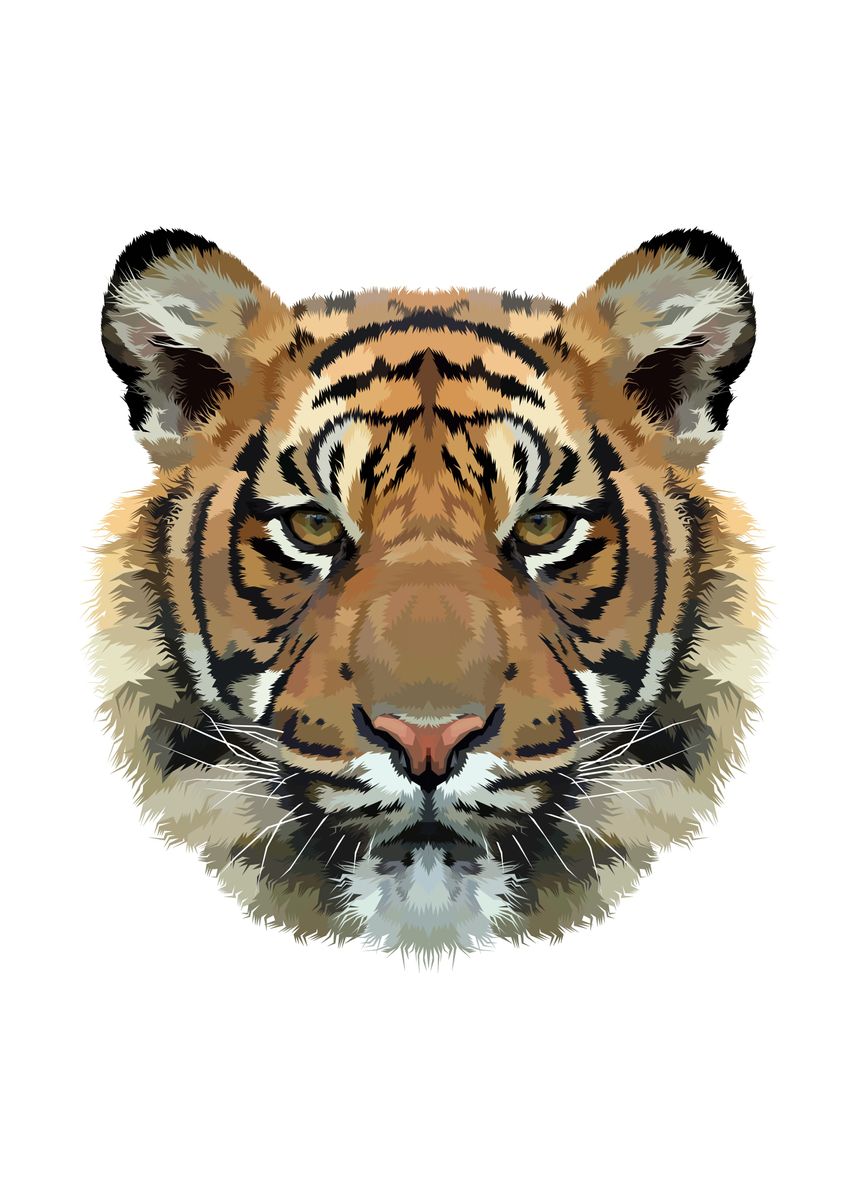 'Tiger head on white' Poster, picture, metal print, paint by Le Duc ...