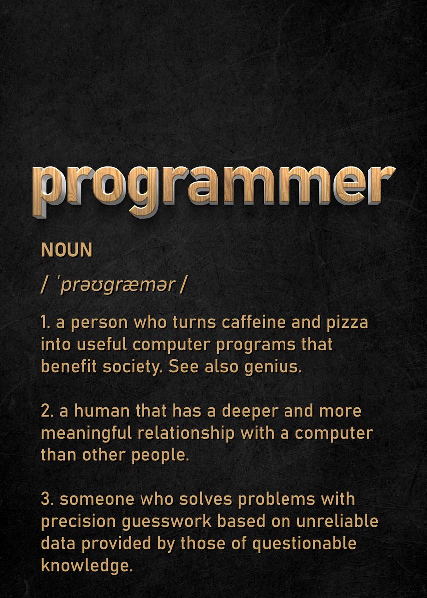 'Programmer Definition Fun' Poster, picture, metal print, paint by Wall ...