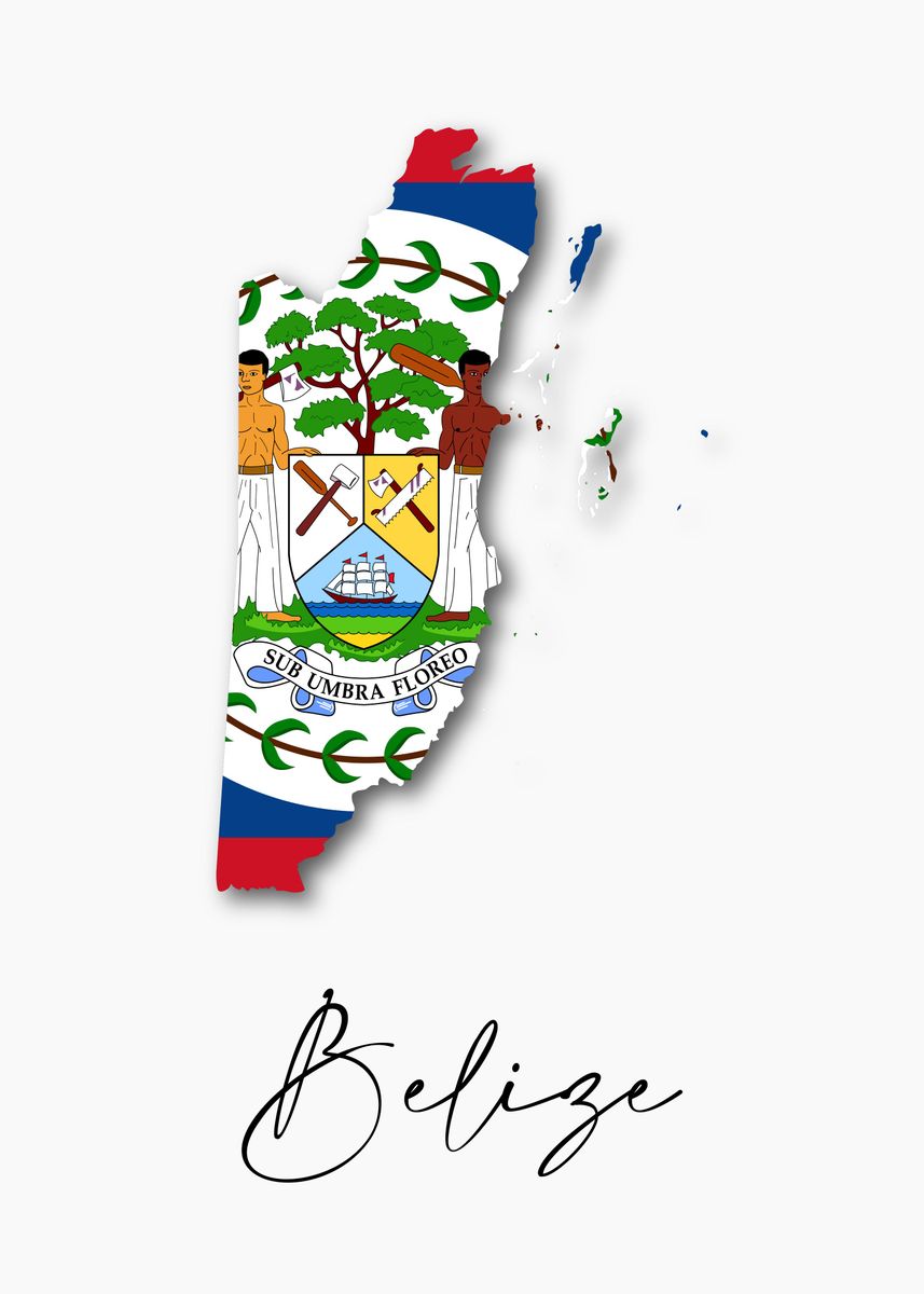 'Belize Country Map Flag' Poster, picture, metal print, paint by ...