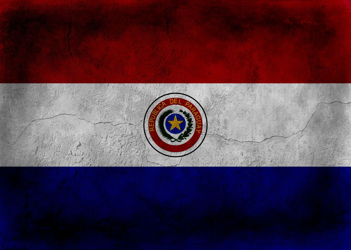 'Paraguay' Poster by Eli Cassin | Displate