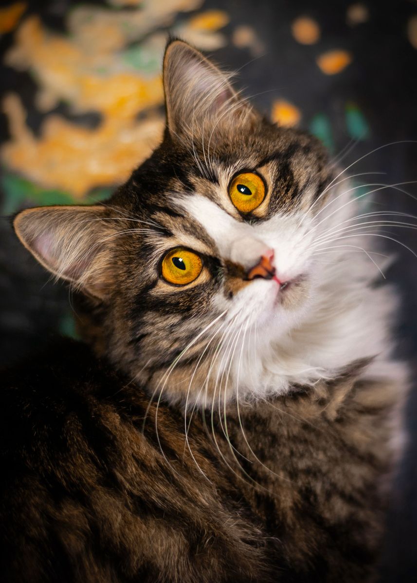 'Cat' Poster, picture, metal print, paint by DombaHitam Studio | Displate