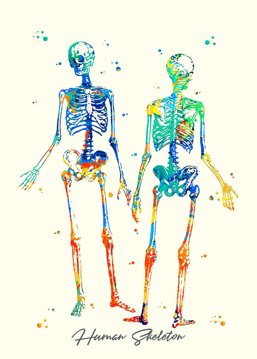 'Human Skeleton' Poster, picture, metal print, paint by Vincent Vorce ...