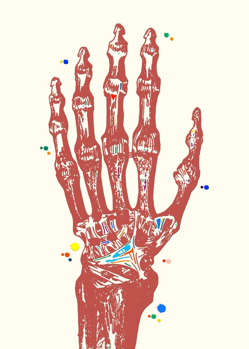 'Hand Bones Anatomy' Poster, picture, metal print, paint by Dutton Jerrell | Displate