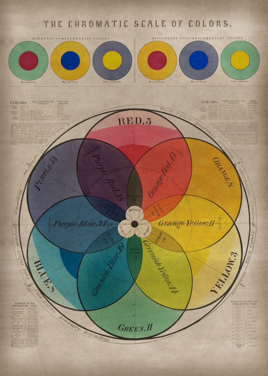 'Chromatic Scale of Color' Poster, picture, metal print, paint by ...