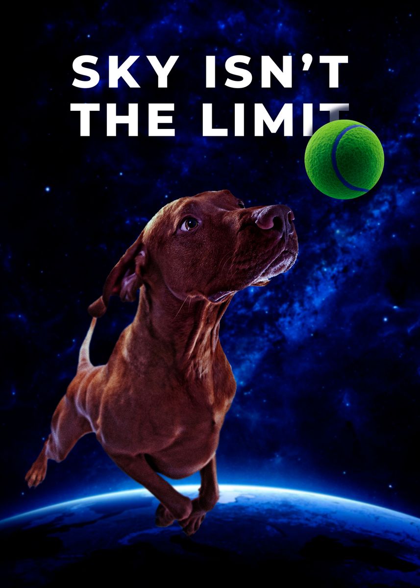 'Dog Chasing Ball in Space' Poster, picture, metal print, paint by ...