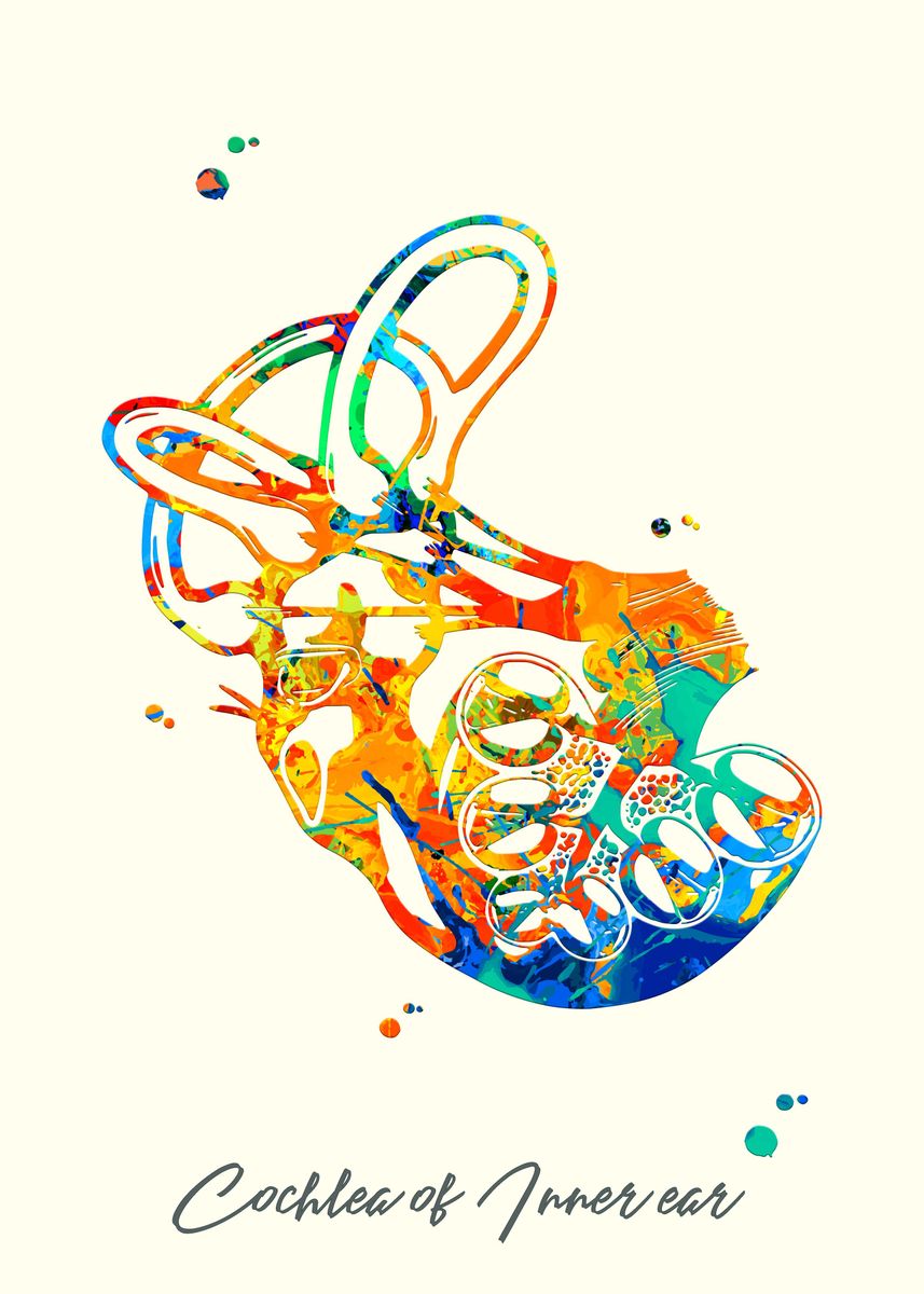 'Cochlea of Inner ear ' Poster, picture, metal print, paint by Vincent ...