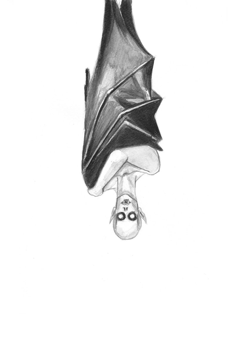 'Vampire Bat' Poster, picture, metal print, paint by Matt Wood | Displate