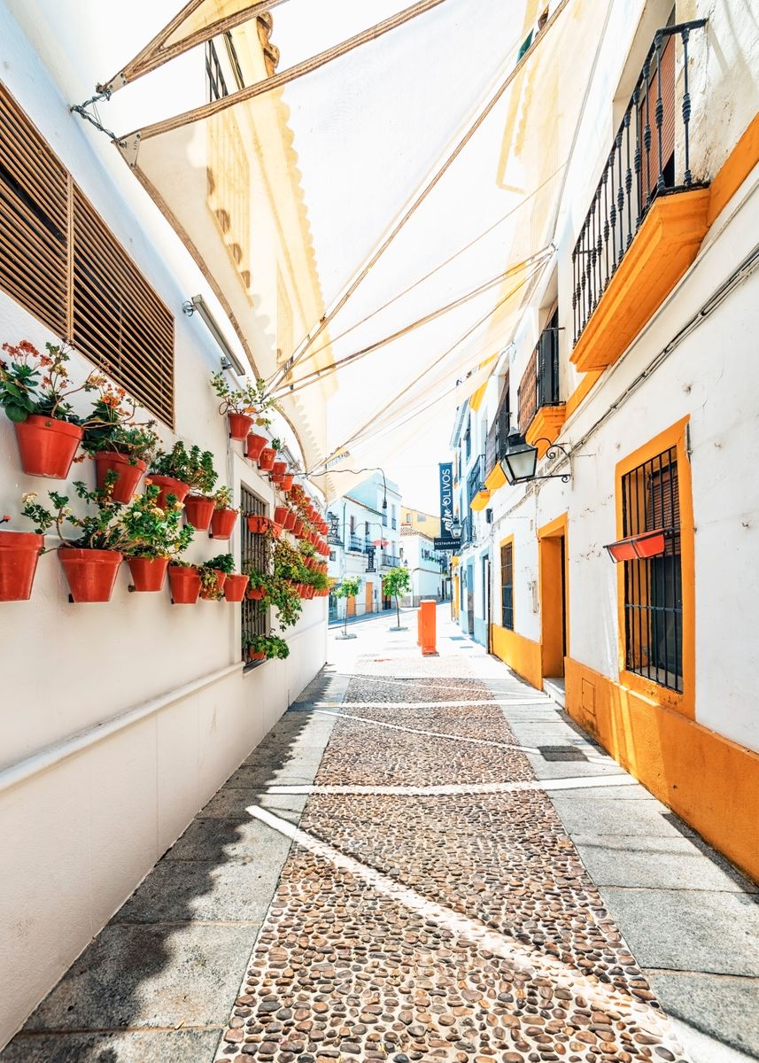 'Cordoba Street' Poster, picture, metal print, paint by Mango Art ...