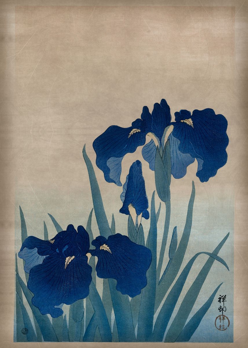 'Blue Iris Japanese Drawing' Poster, picture, metal print, paint by ...