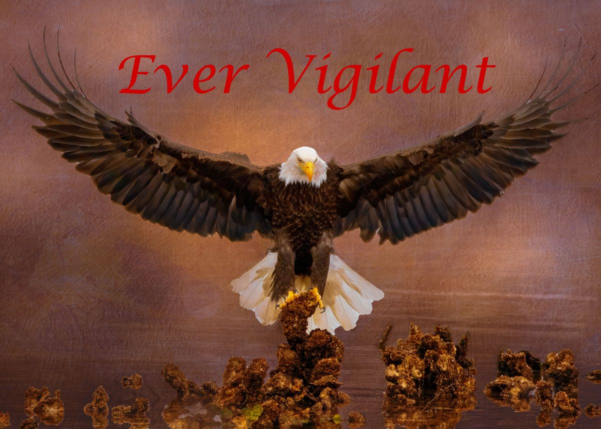 'Ever Vigilant' Poster by Joe OConnell | Displate