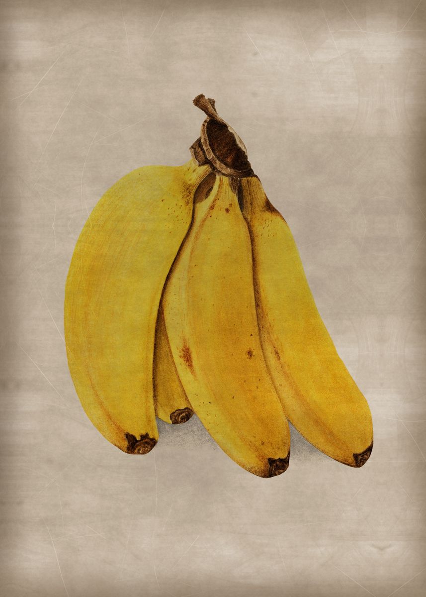 'Vintage Banana' Poster, picture, metal print, paint by XandYart | Displate