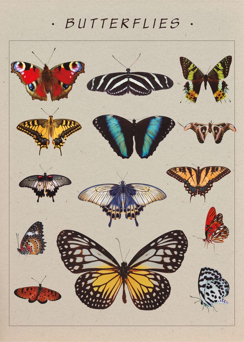 'Butterflies Science Art' Poster, picture, metal print, paint by ...