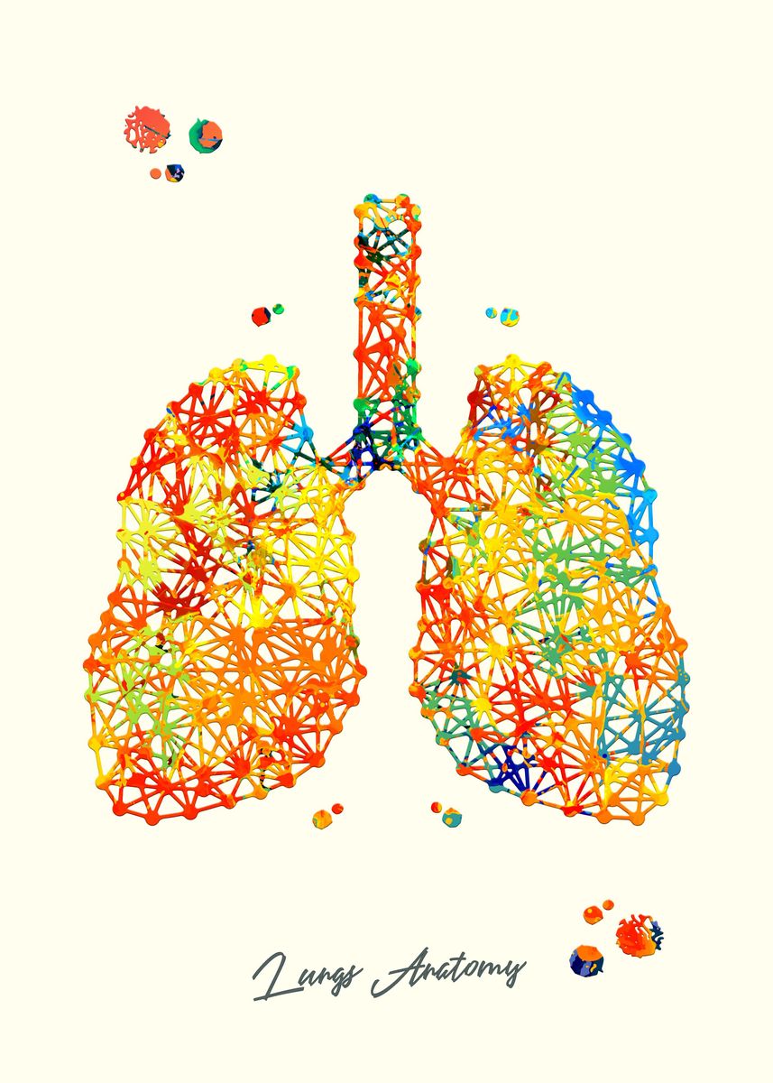 'Lungs Anatomy' Poster, picture, metal print, paint by Vincent Vorce ...