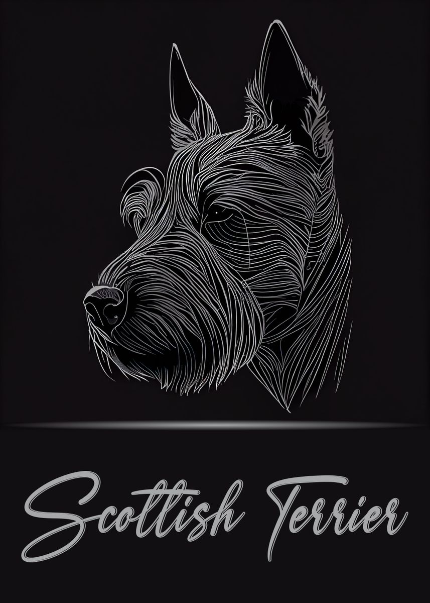 'Elegant Scottish Terrier' Poster, picture, metal print, paint by Artistic Paradigms | Displate