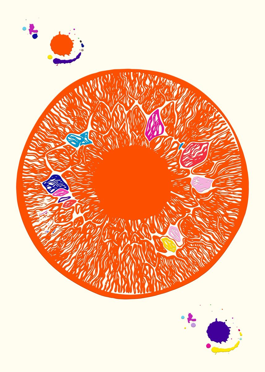 'Eye Anatomy' Poster, picture, metal print, paint by Dutton Jerrell | Displate