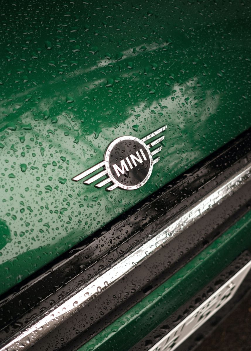 'Mini Logo' Poster, picture, metal print, paint by Sam Brady | Displate