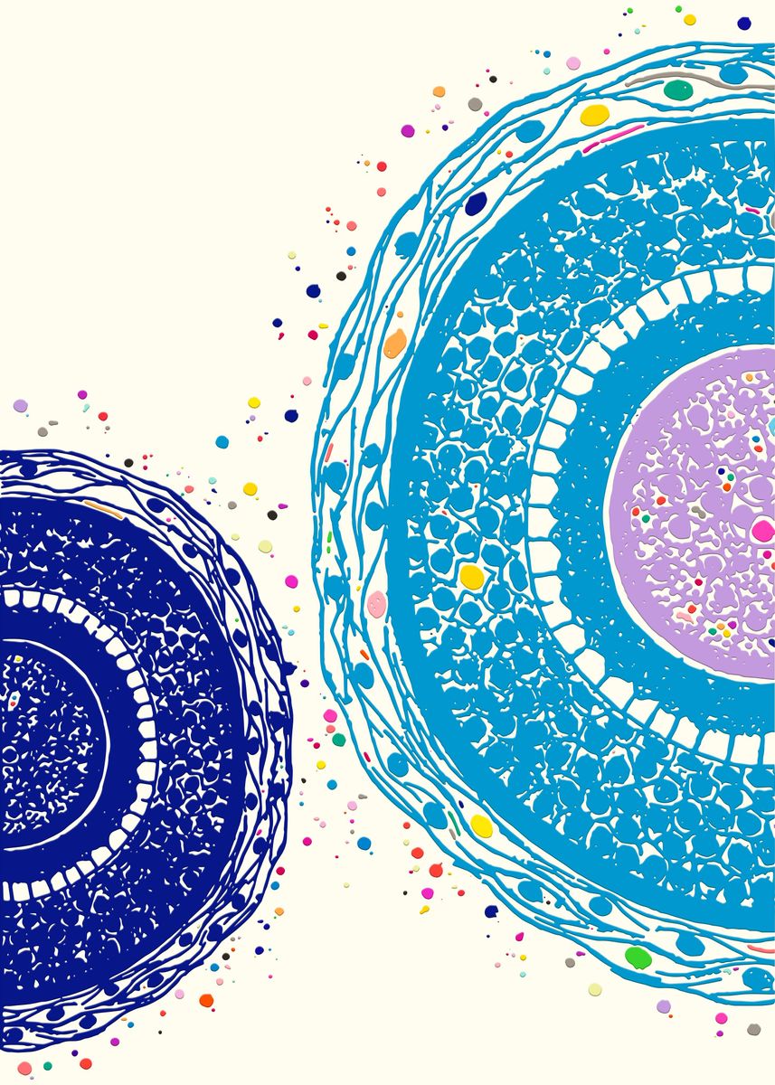 'Hair Anatomy' Poster, picture, metal print, paint by Dutton Jerrell | Displate