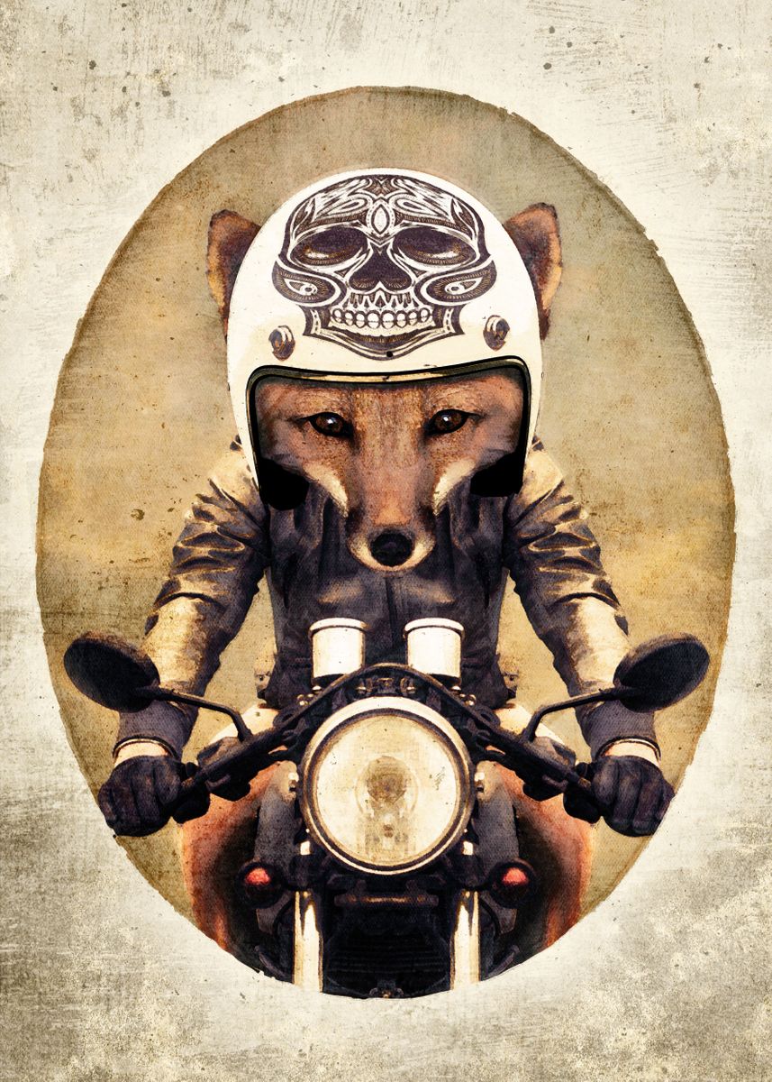 'Portrait of fox biker' Poster, picture, metal print, paint by Johann ...