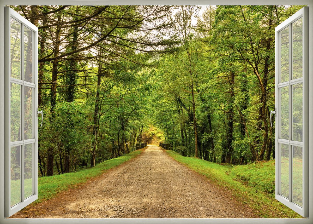 'Window view road forest' Poster by Vicen | Displate