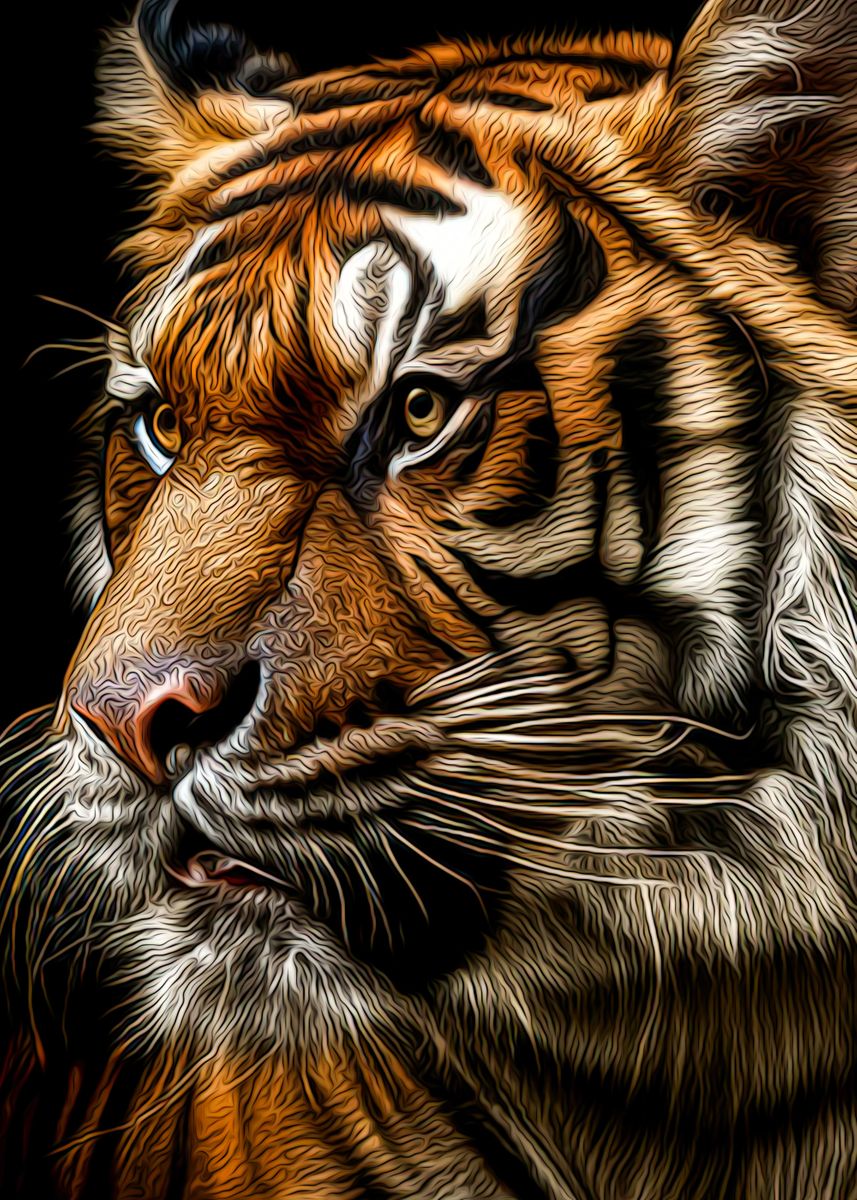 'Tiger' Poster, picture, metal print, paint by Ackerman Nance | Displate