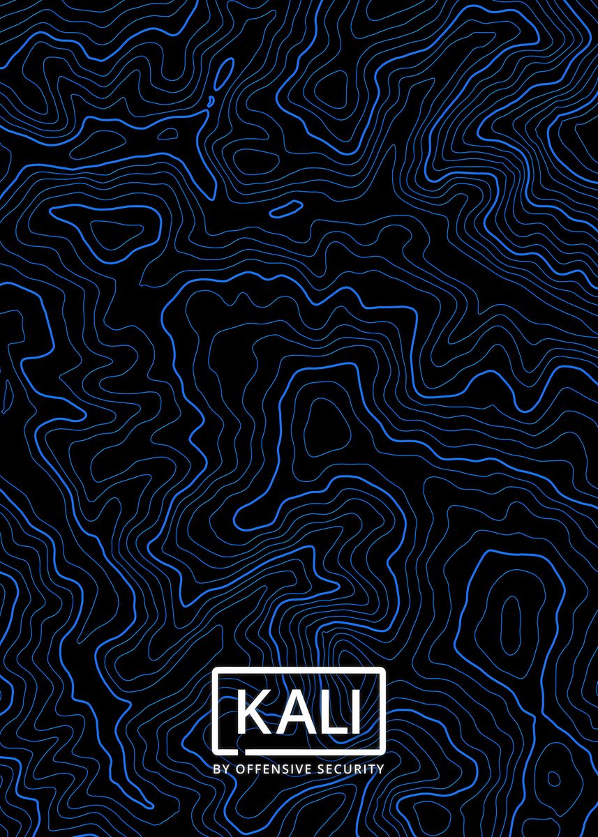 'Kali Linux Art Hacker' Poster, picture, metal print, paint by Lunaxys ...