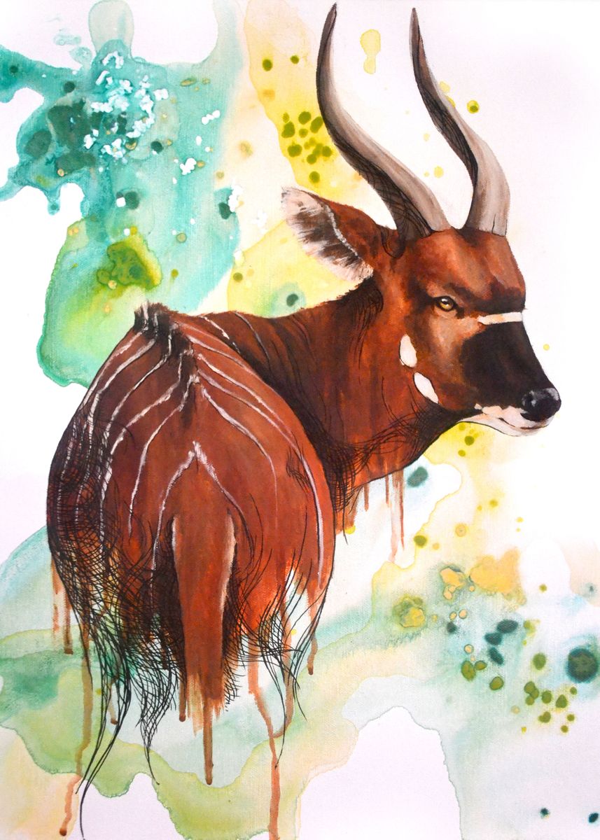 'Bongo Antelope' Poster, picture, metal print, paint by AniaArt | Displate