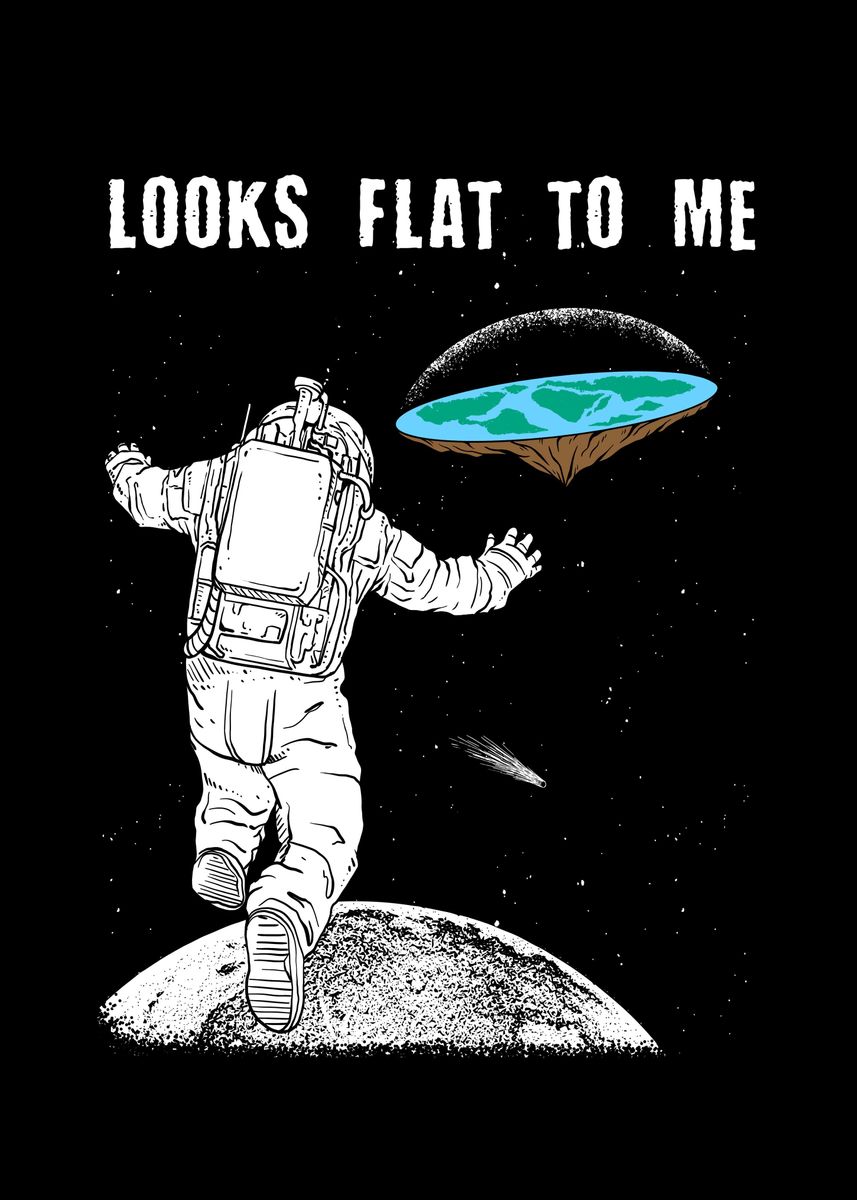 'Looks Flat to Me' Poster, picture, metal print, paint by biNutz | Displate