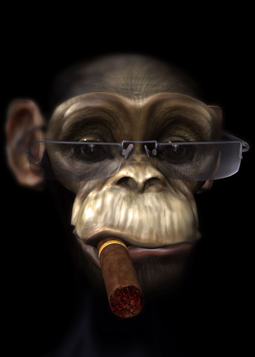 'Hipster Chimpanzee Cigar' Poster, picture, metal print, paint by ...