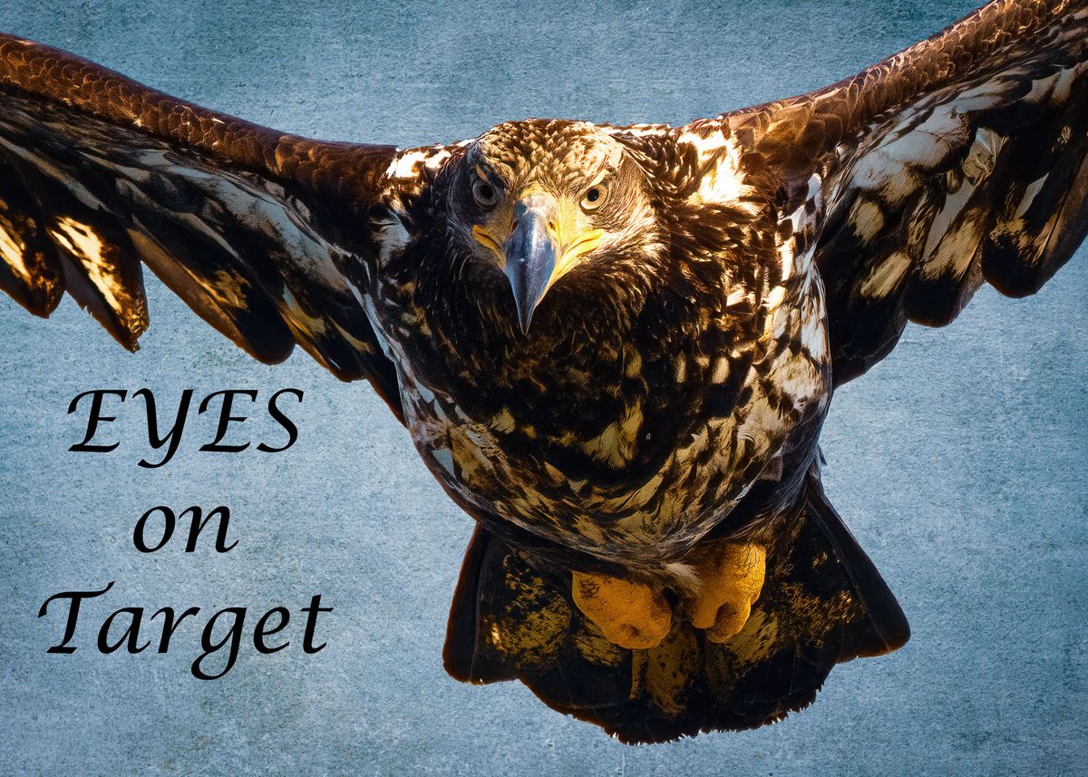 'Eyes on Target Bald Eagle' Poster by Joe OConnell | Displate