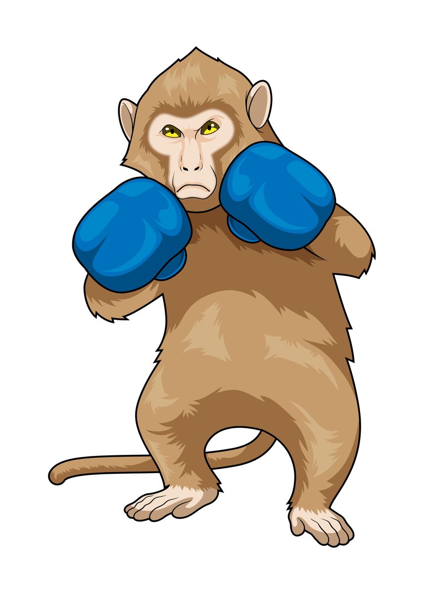 'Monkey Boxer Boxing gloves' Poster, picture, metal print, paint by ...