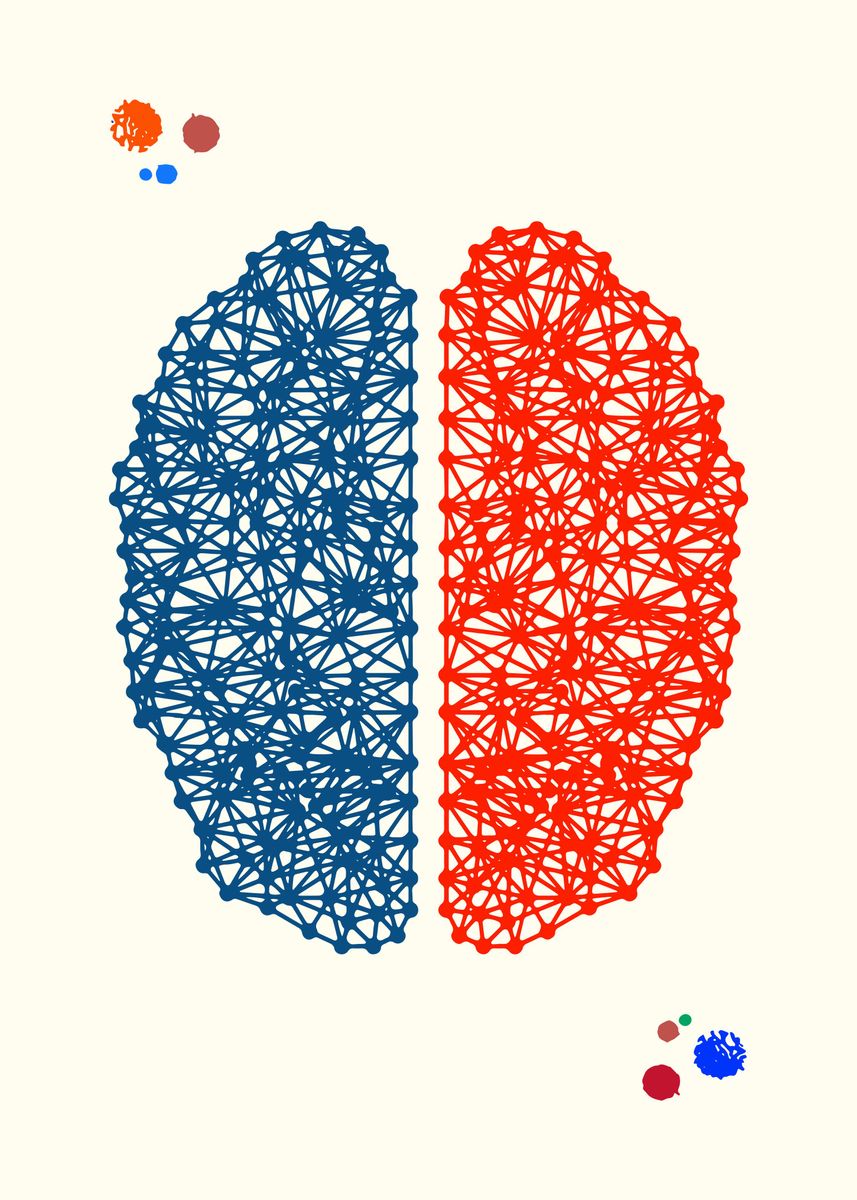 'Brain Anatomy' Poster, picture, metal print, paint by Dutton Jerrell | Displate