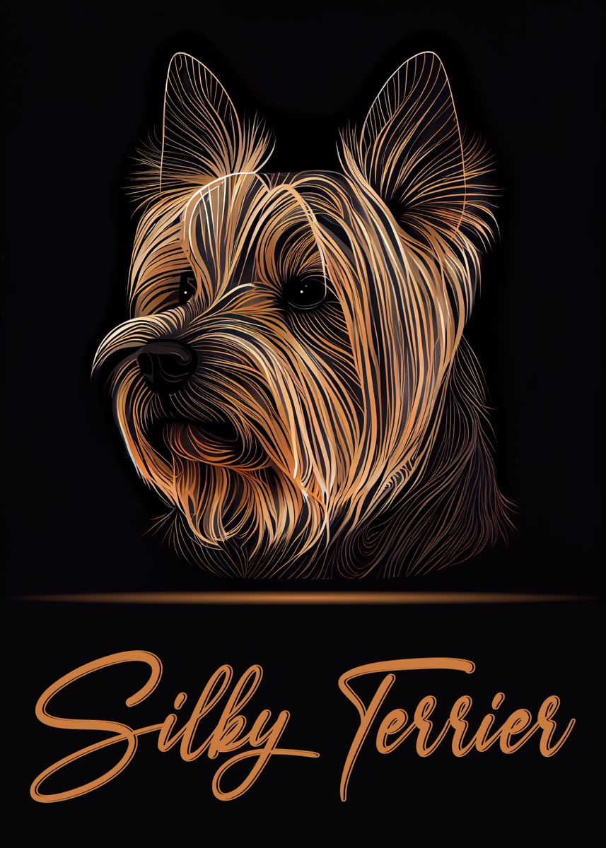 'Silky Terrier Portrait' Poster, picture, metal print, paint by Artistic Paradigms | Displate