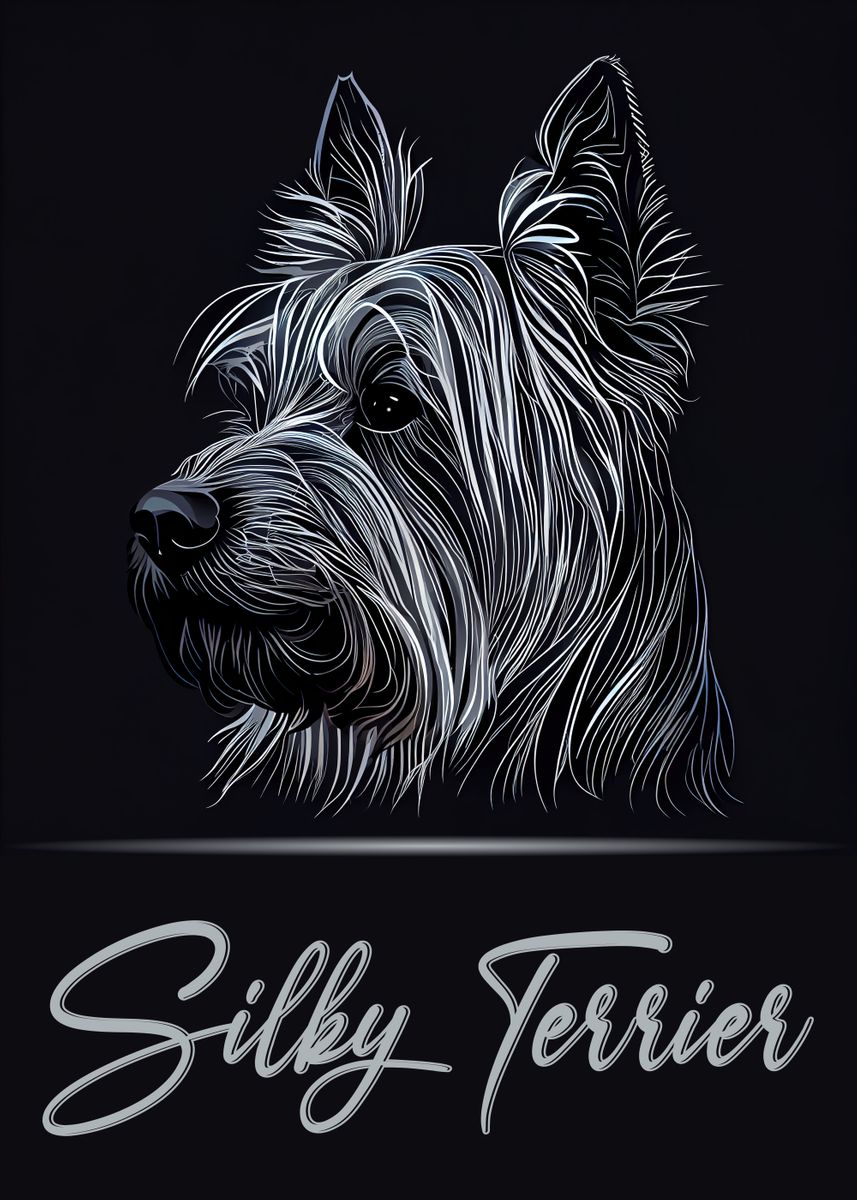 'Elegant Silky Terrier' Poster, picture, metal print, paint by Artistic Paradigms | Displate