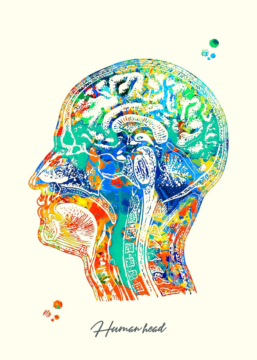 'Human head' Poster, picture, metal print, paint by Vincent Vorce ...