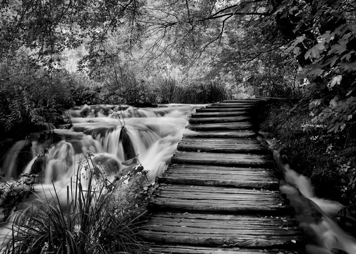 'Wooden Path Along Stream' Poster by Socratubik | Displate