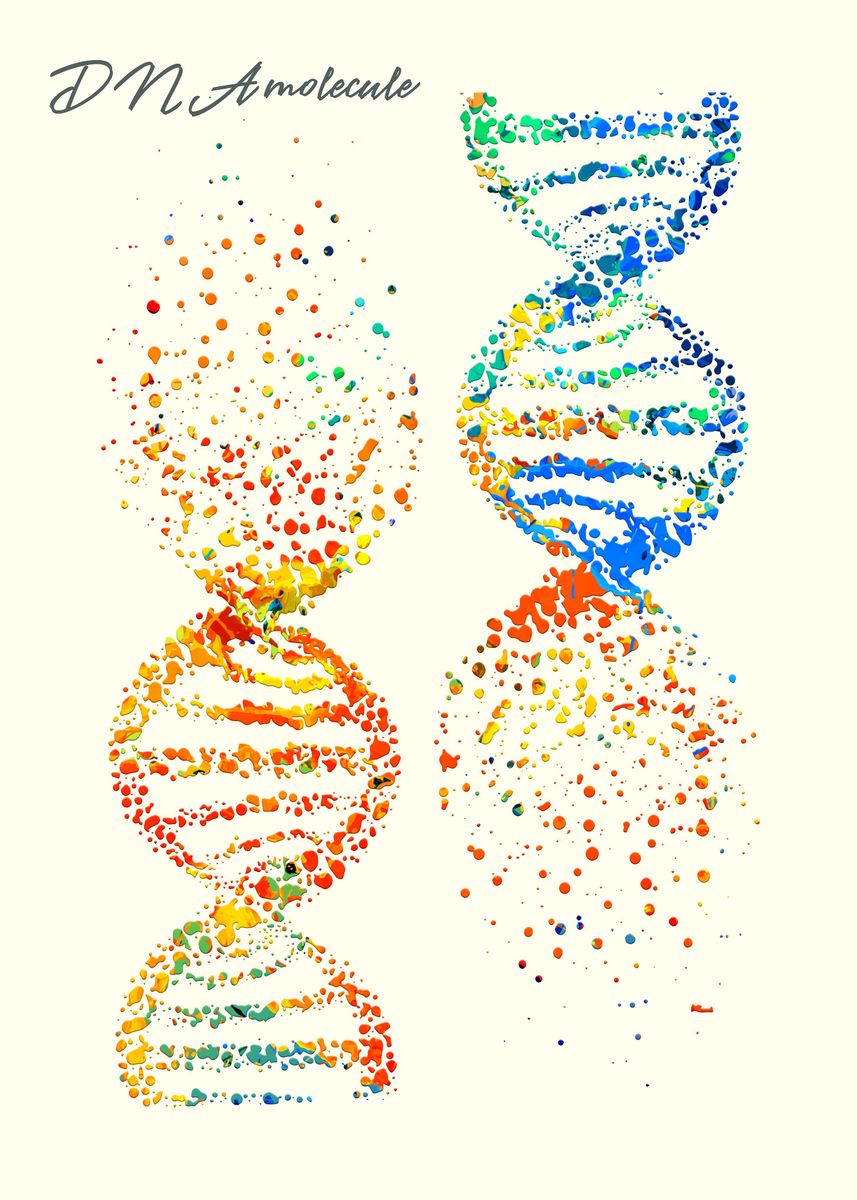 'DNA molecule' Poster, picture, metal print, paint by Vincent Vorce ...