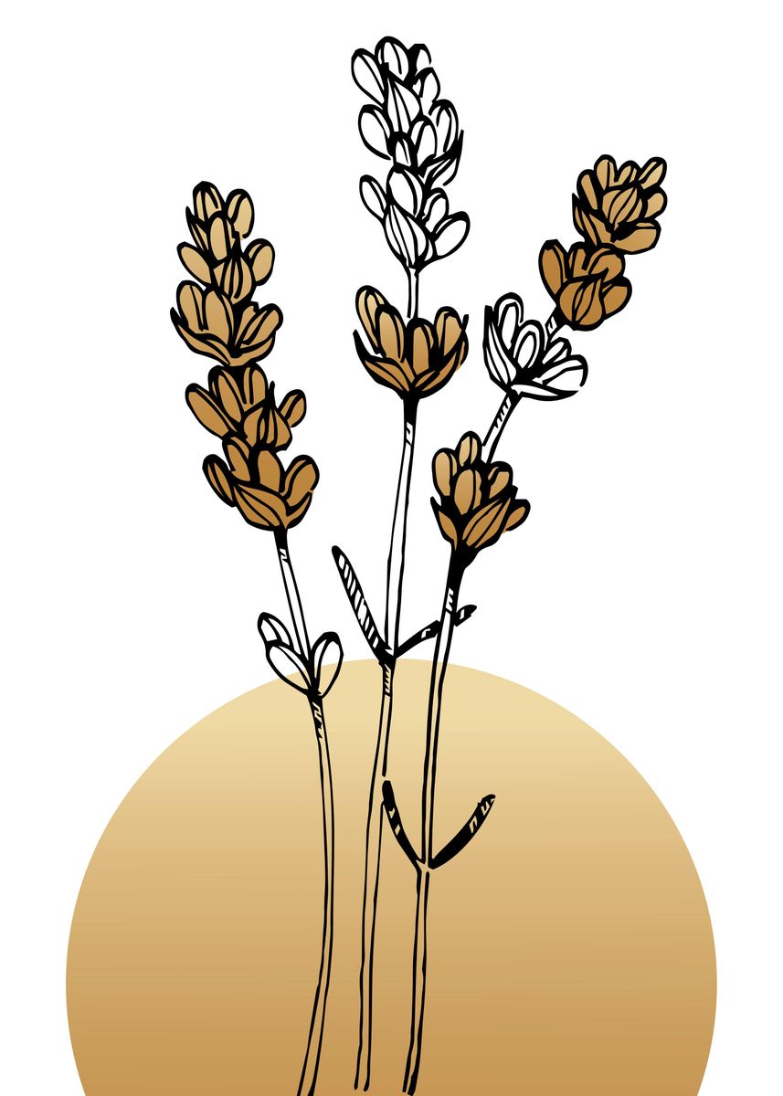 'Lavender' Poster, picture, metal print, paint by Samira Yanushkova ...