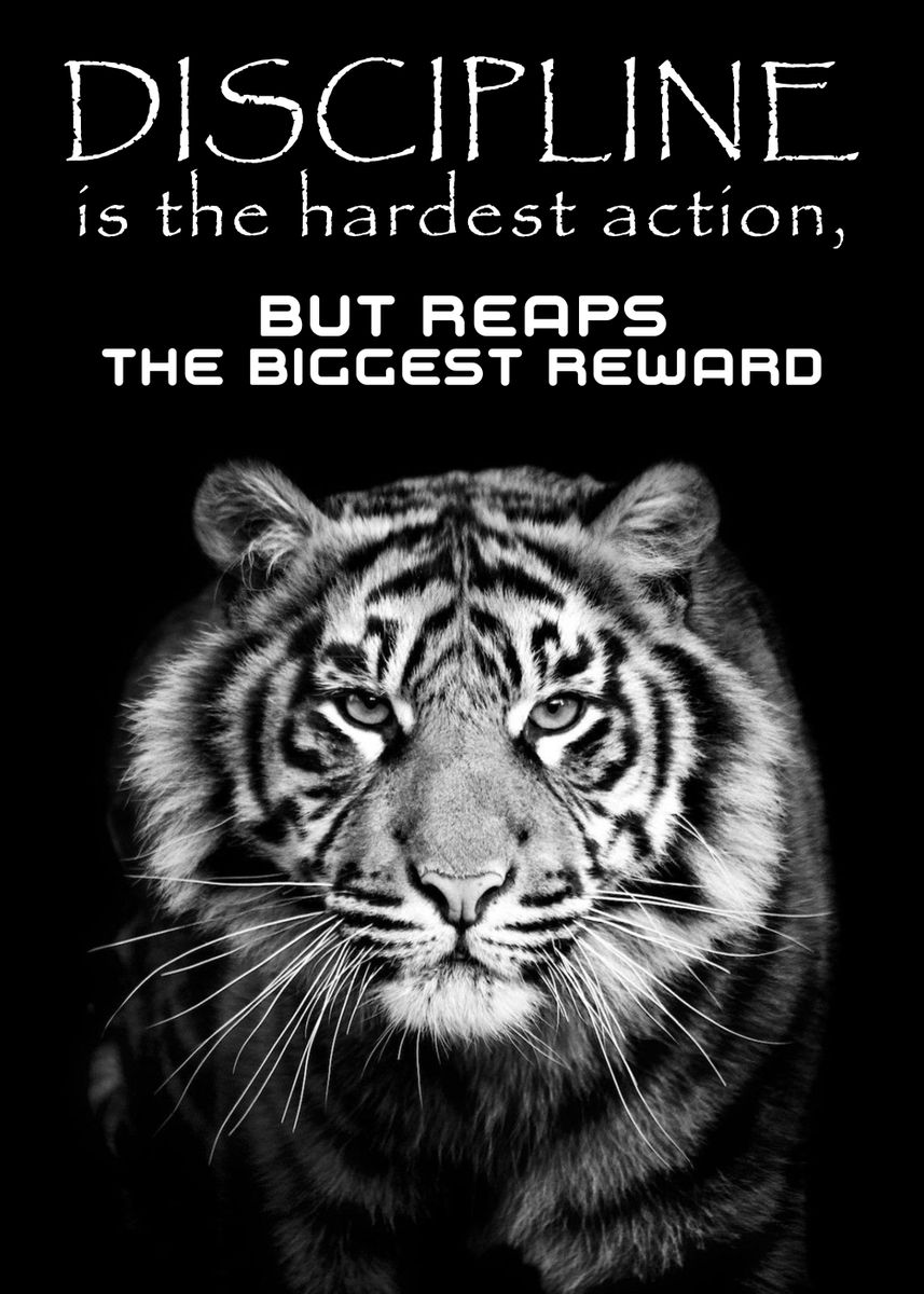 'discipline motivational' Poster, picture, metal print, paint by ...