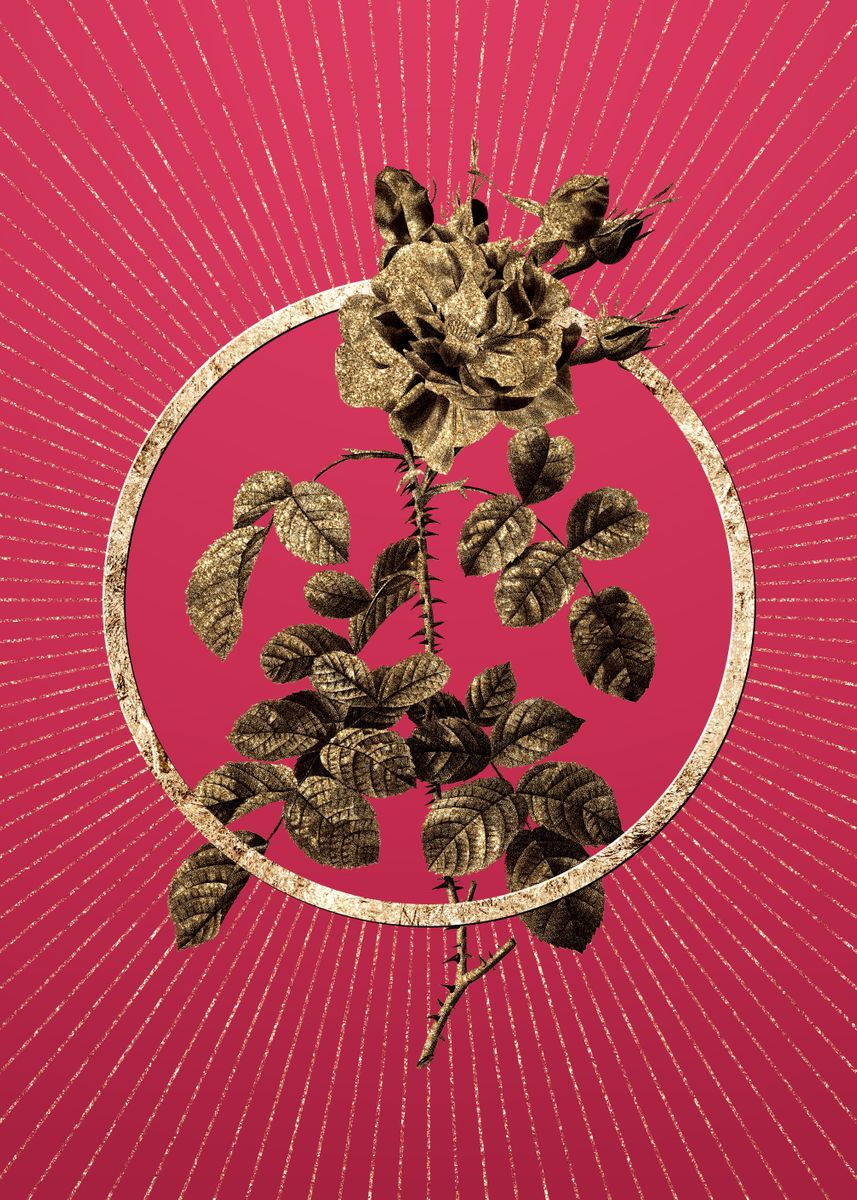'Gold Four Seasons Rose' Poster, picture, metal print, paint by Holy ...